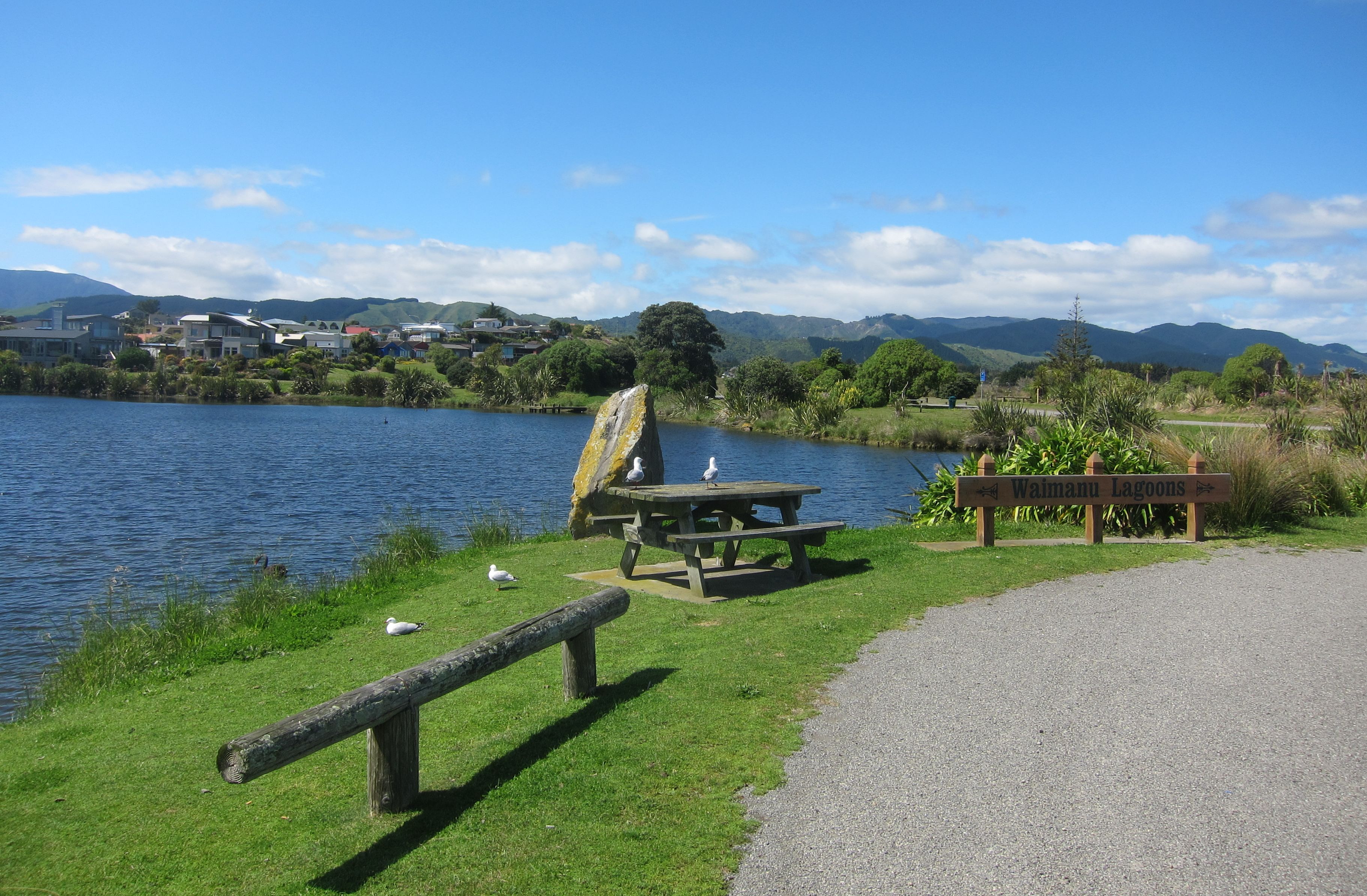 the council Waikanae Beach forum launch | Waikanae Watch