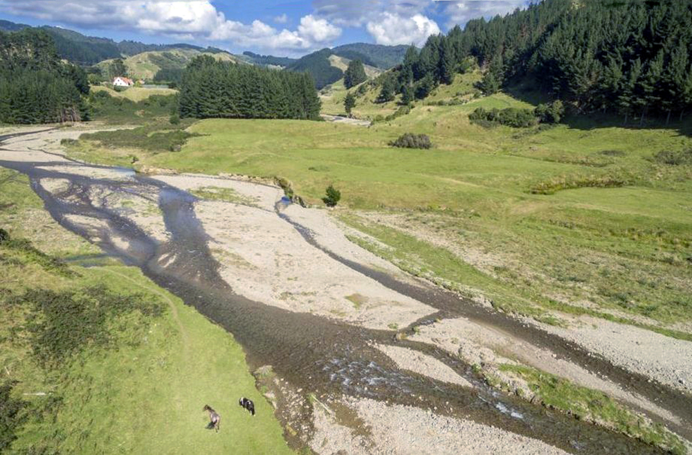the Akatarawa Hills up close | Waikanae Watch