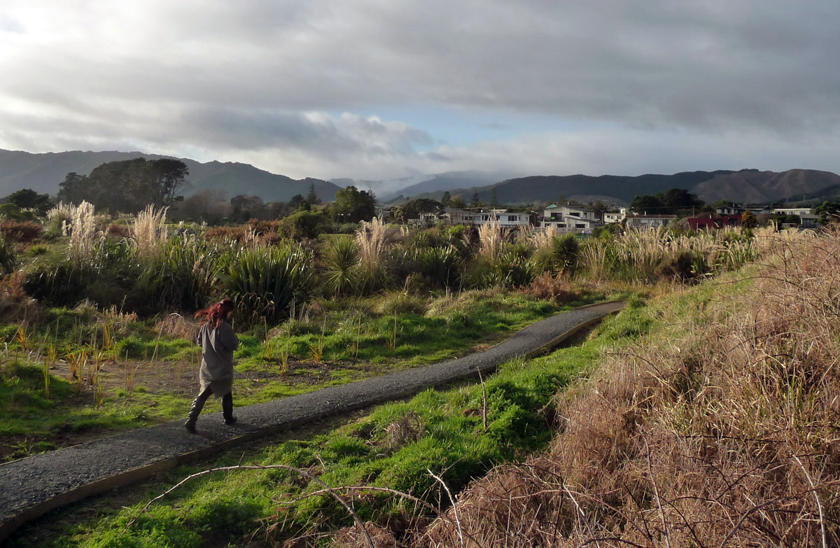 the Waikanae Estuary walkway | Waikanae Watch