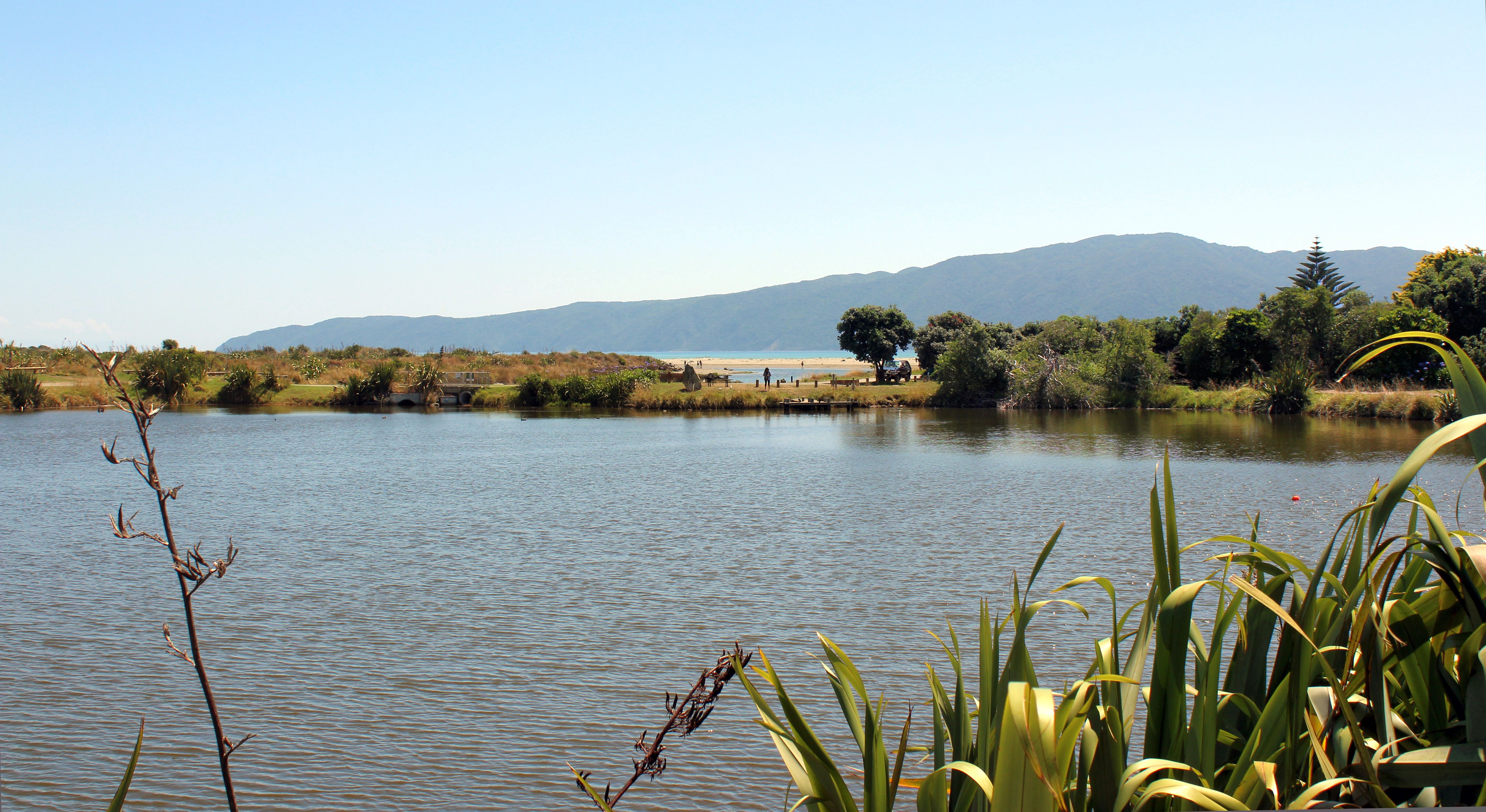 westwards view from the Waimanu Lagoons | Waikanae Watch