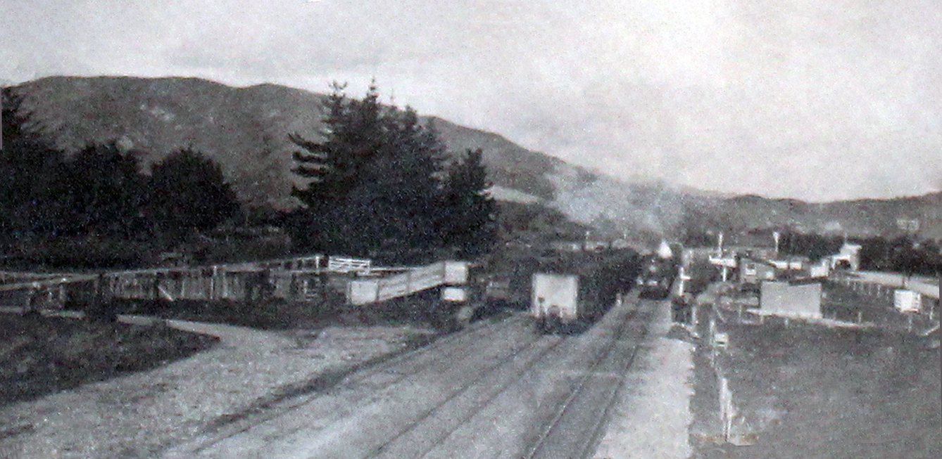 Waikanae station in the days of the Wellington & Manawatu Railway ...