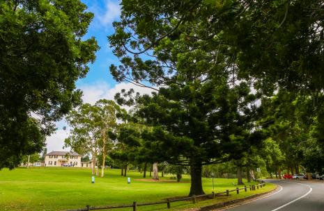 29 July — National Tree Day, Australia | Waikanae Watch