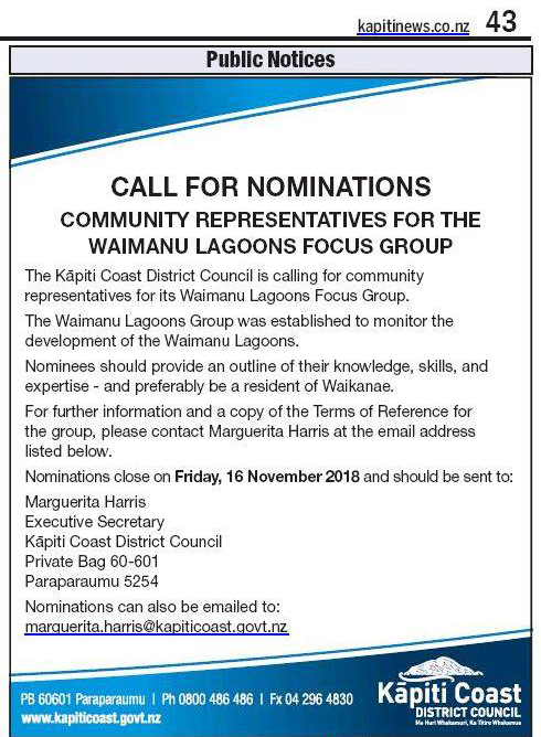 Waimanu Lagoons Focus Group | Waikanae Watch