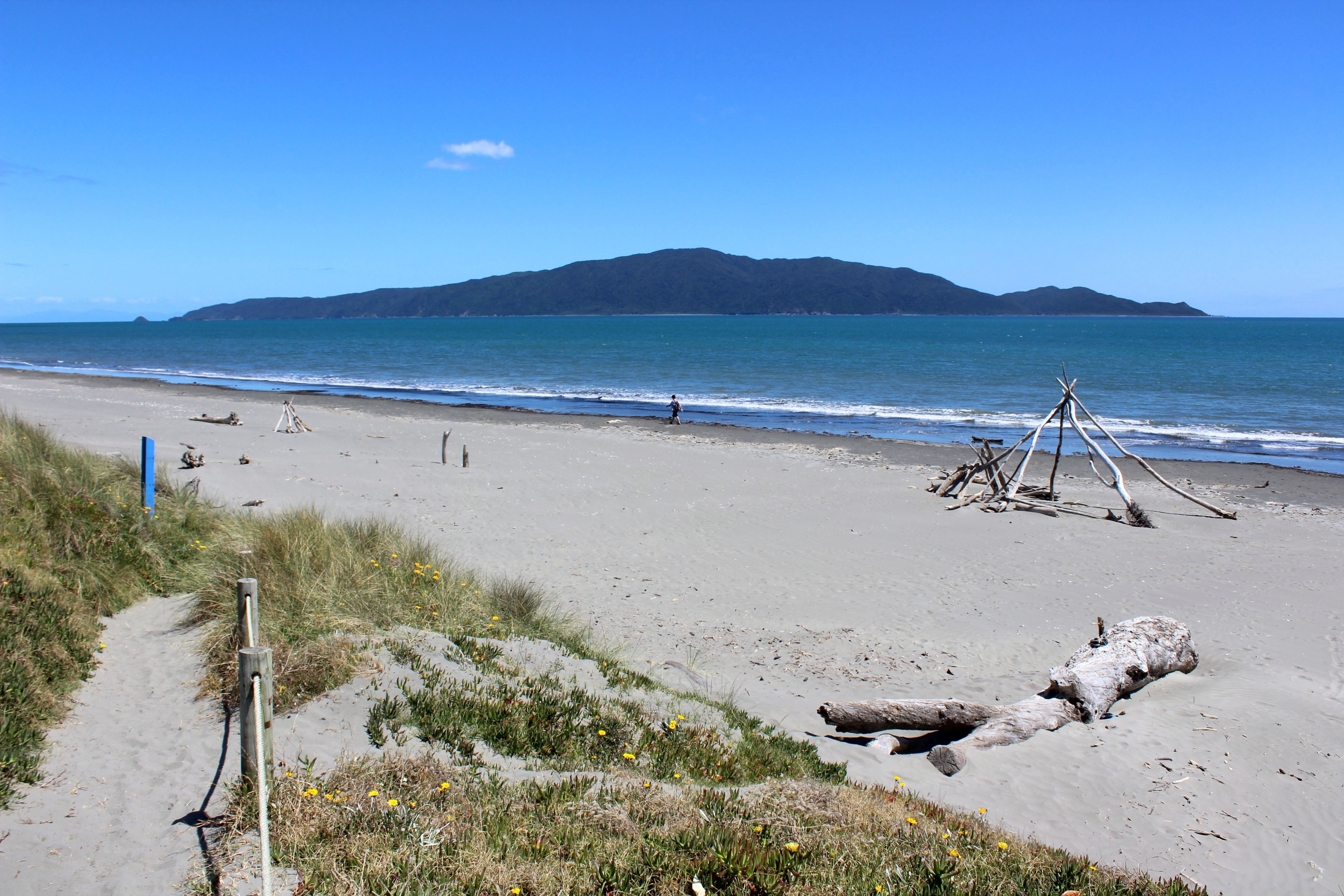 Waikanae Beach close to high tide | Waikanae Watch