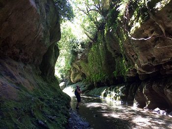 Patuna 2 | Waikanae Watch