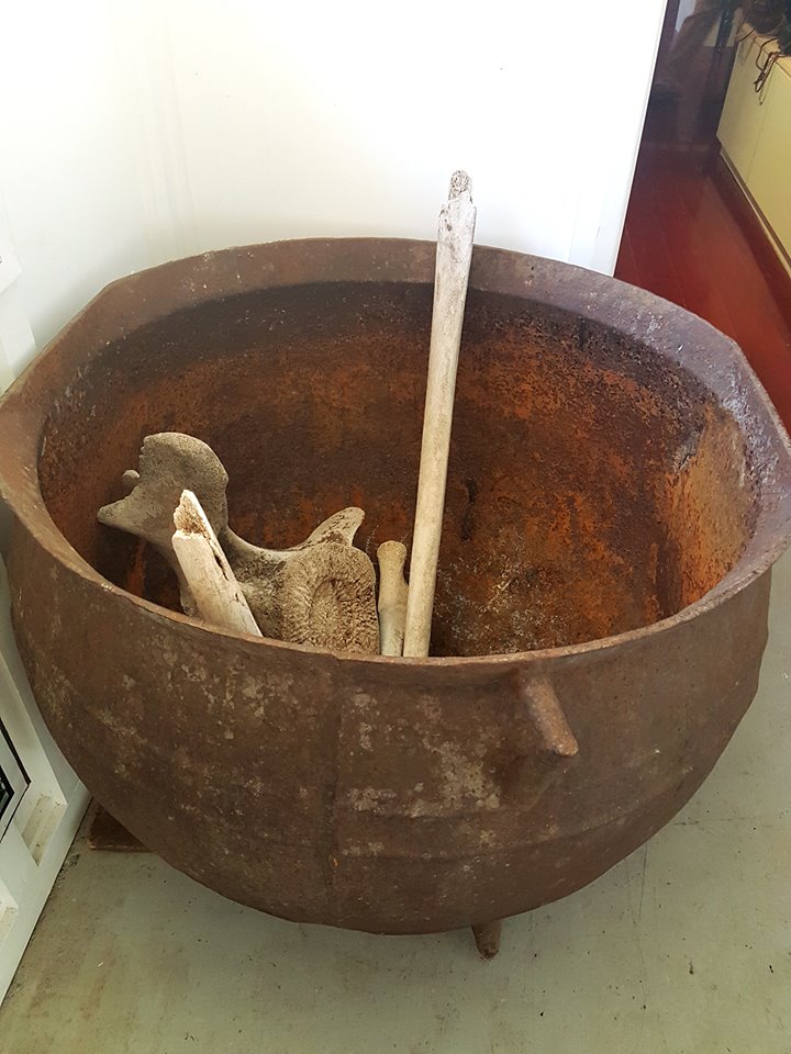 the whalepot competition at the museum | Waikanae Watch