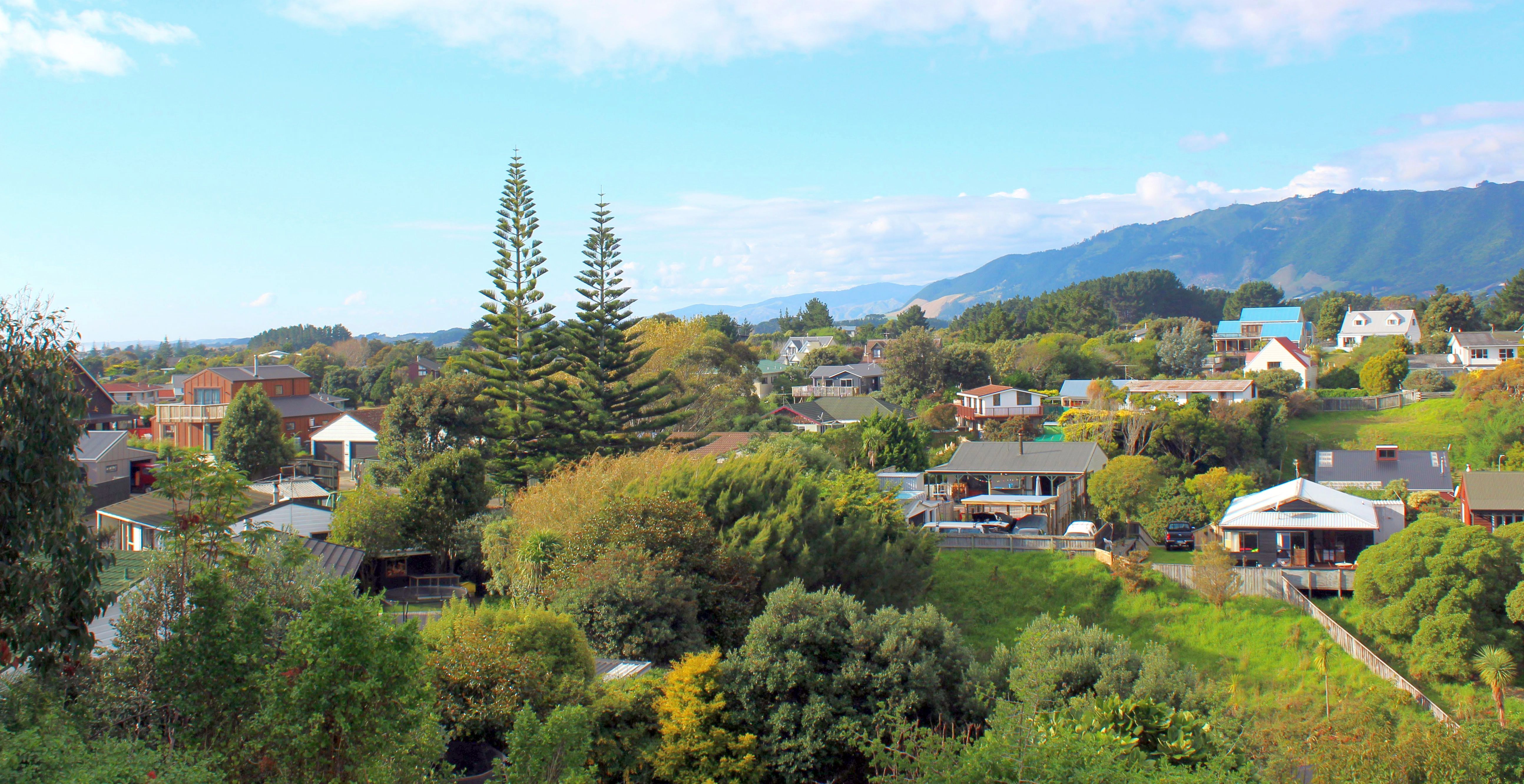in the beach zone looking north | Waikanae Watch
