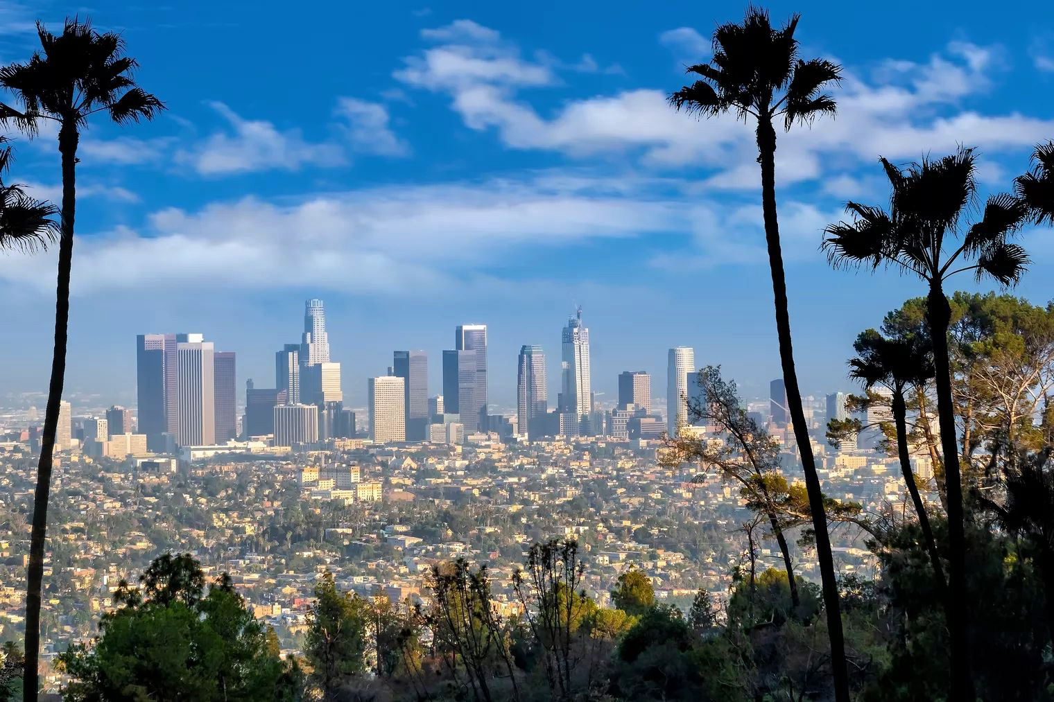 an upside of lockdown in Los Angeles: clean air | Waikanae Watch