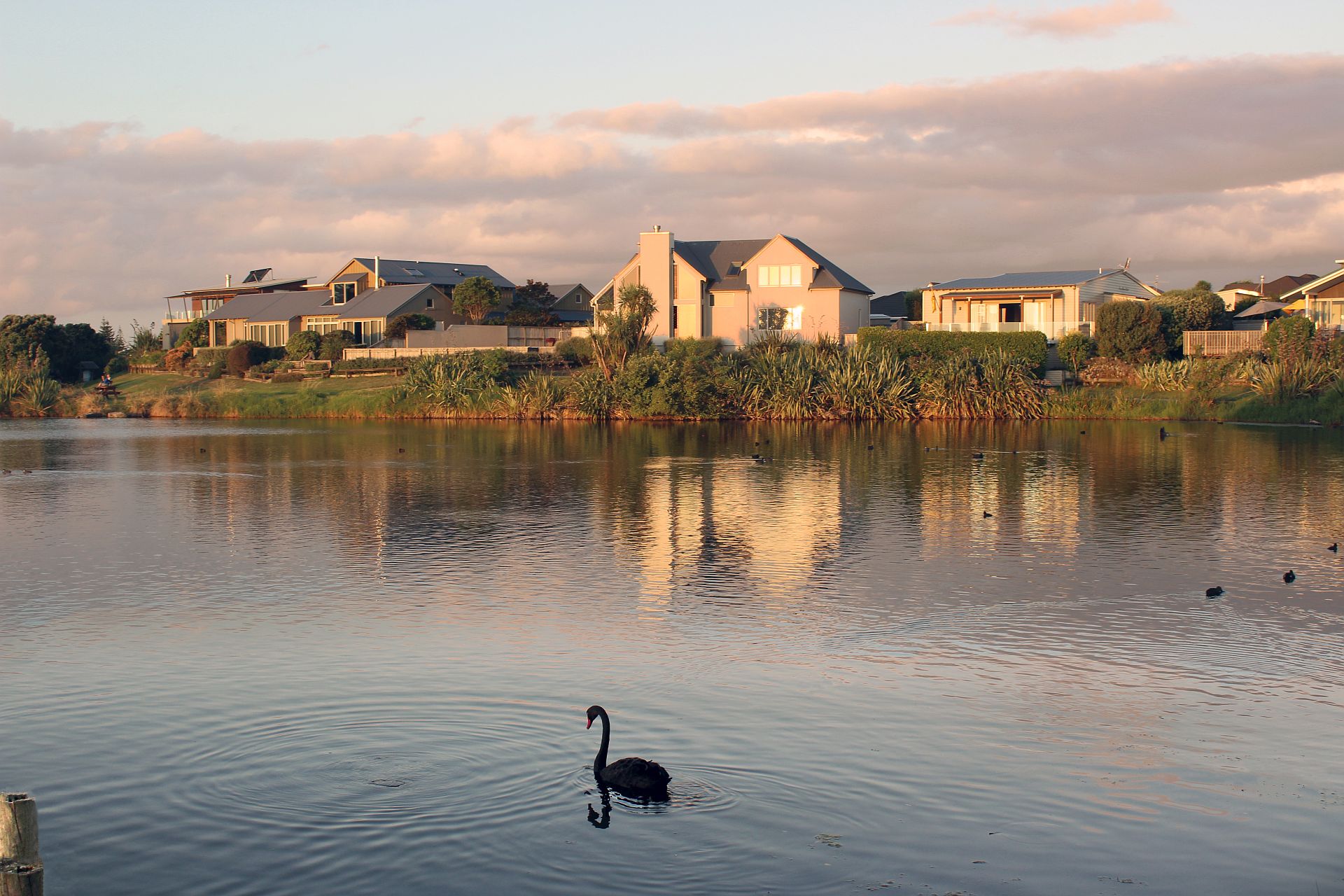 evening at Waimanu Lagoon | Waikanae Watch