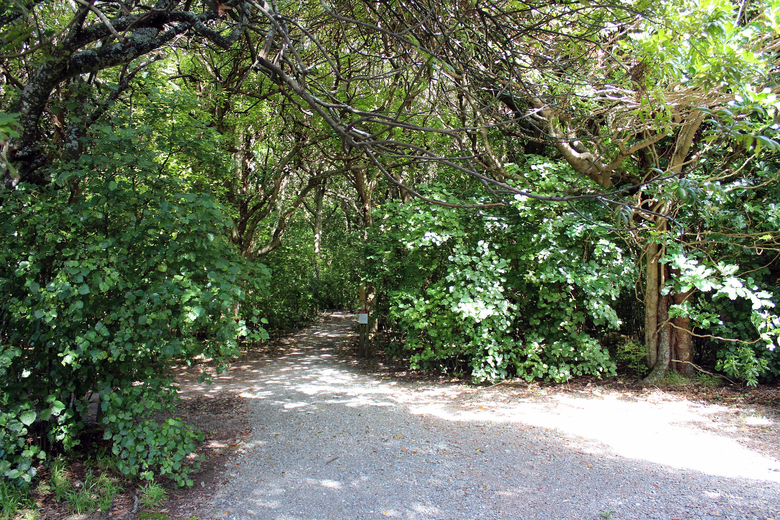 Wi Parata Reserve, Rimu Street entrance | Waikanae Watch