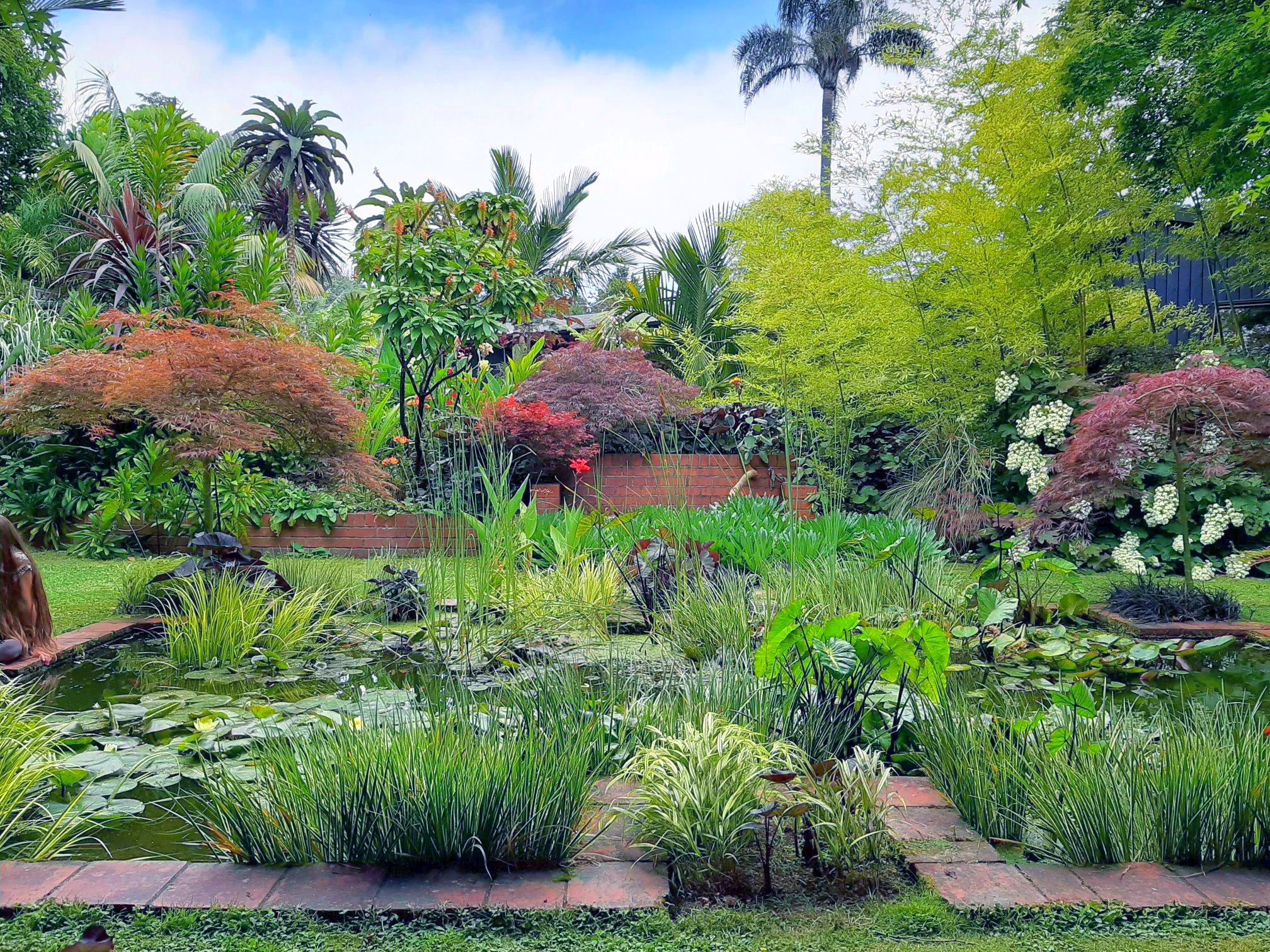 Te Moana Road garden | Waikanae Watch