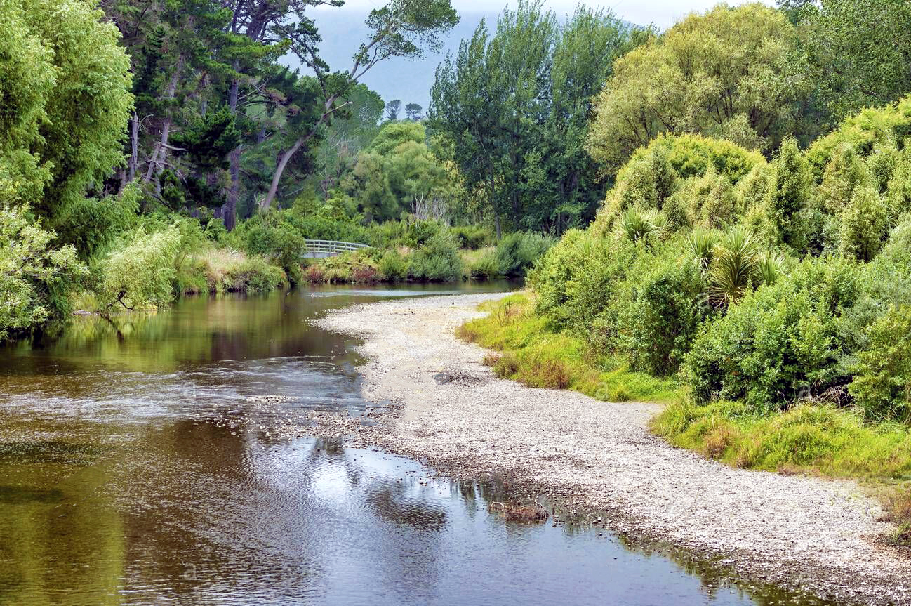 Waikanae River at Otaihanga view | Waikanae Watch