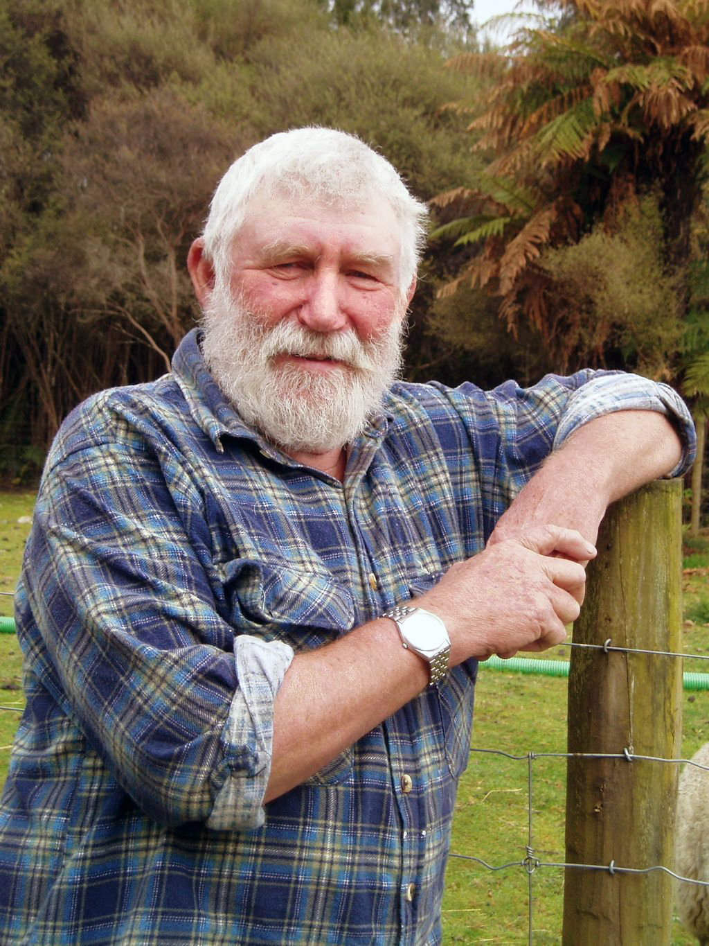 1080 poison drop in the Tararua Range — fibs and fallacies | Waikanae Watch