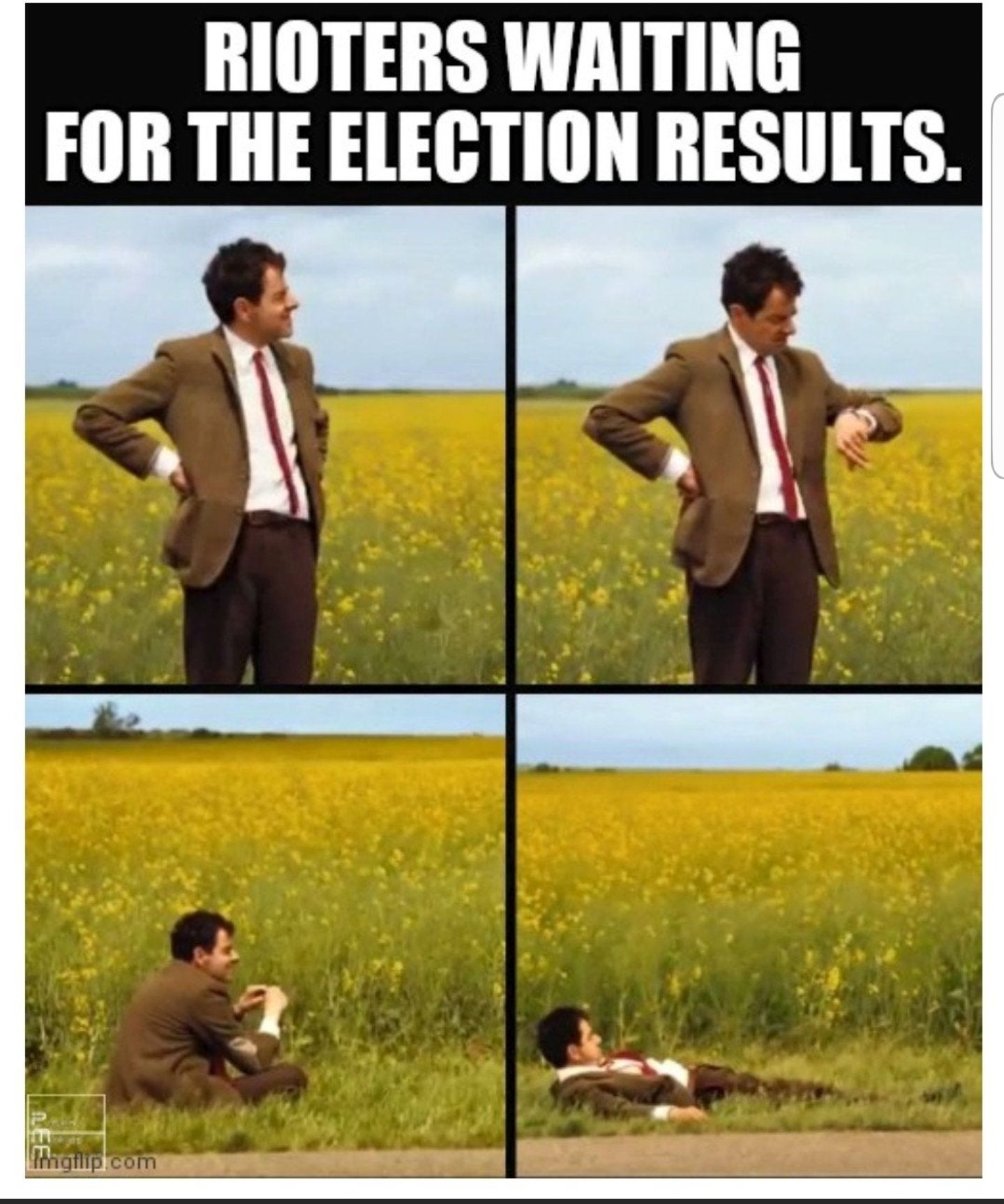 meme-rioters | Waikanae Watch