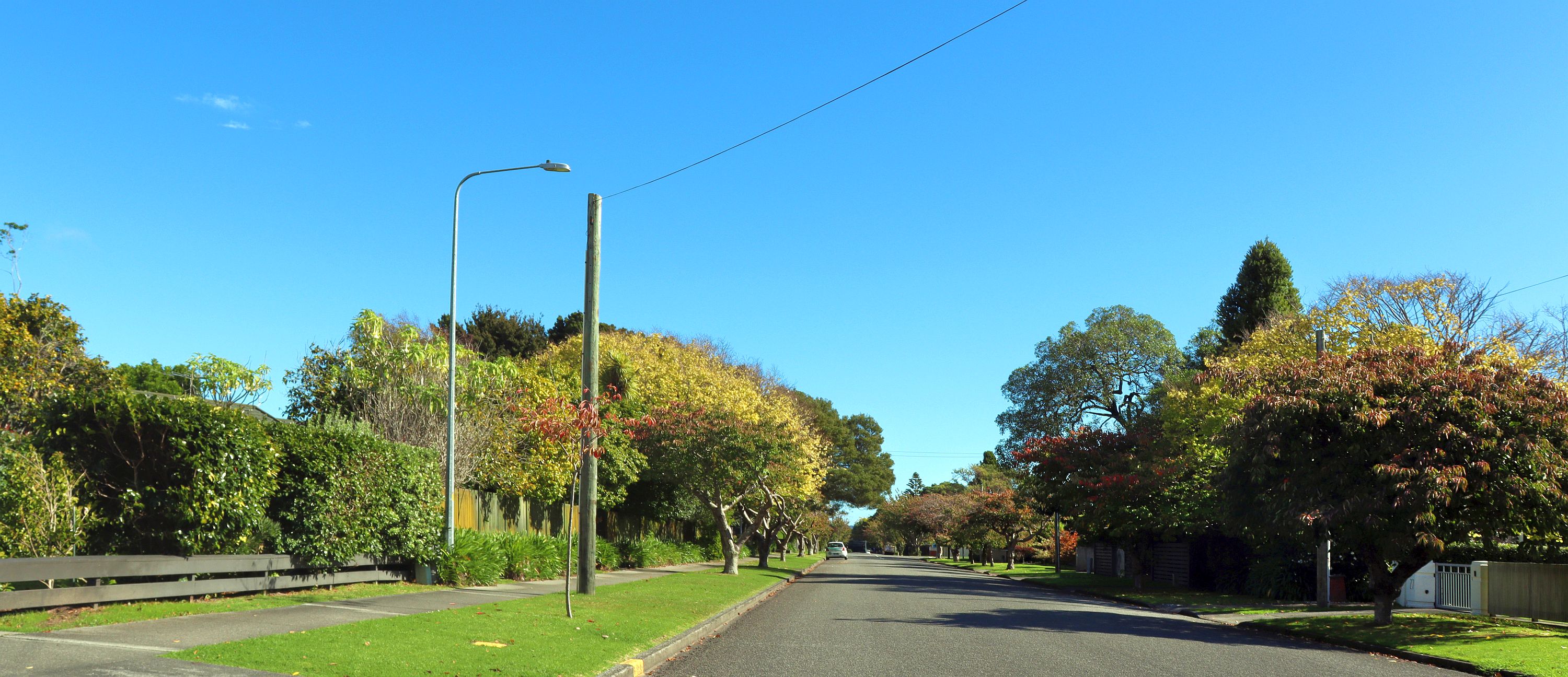 Kohekohe Street scene | Waikanae Watch