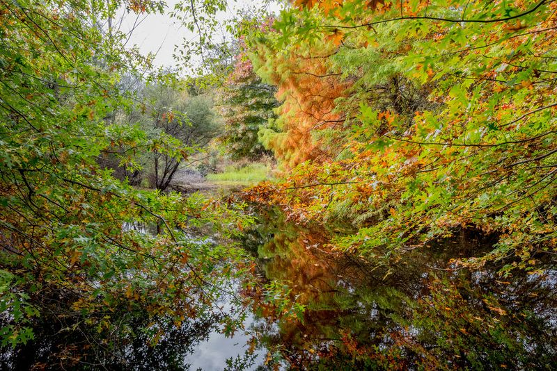 Waikanae autumn | Waikanae Watch