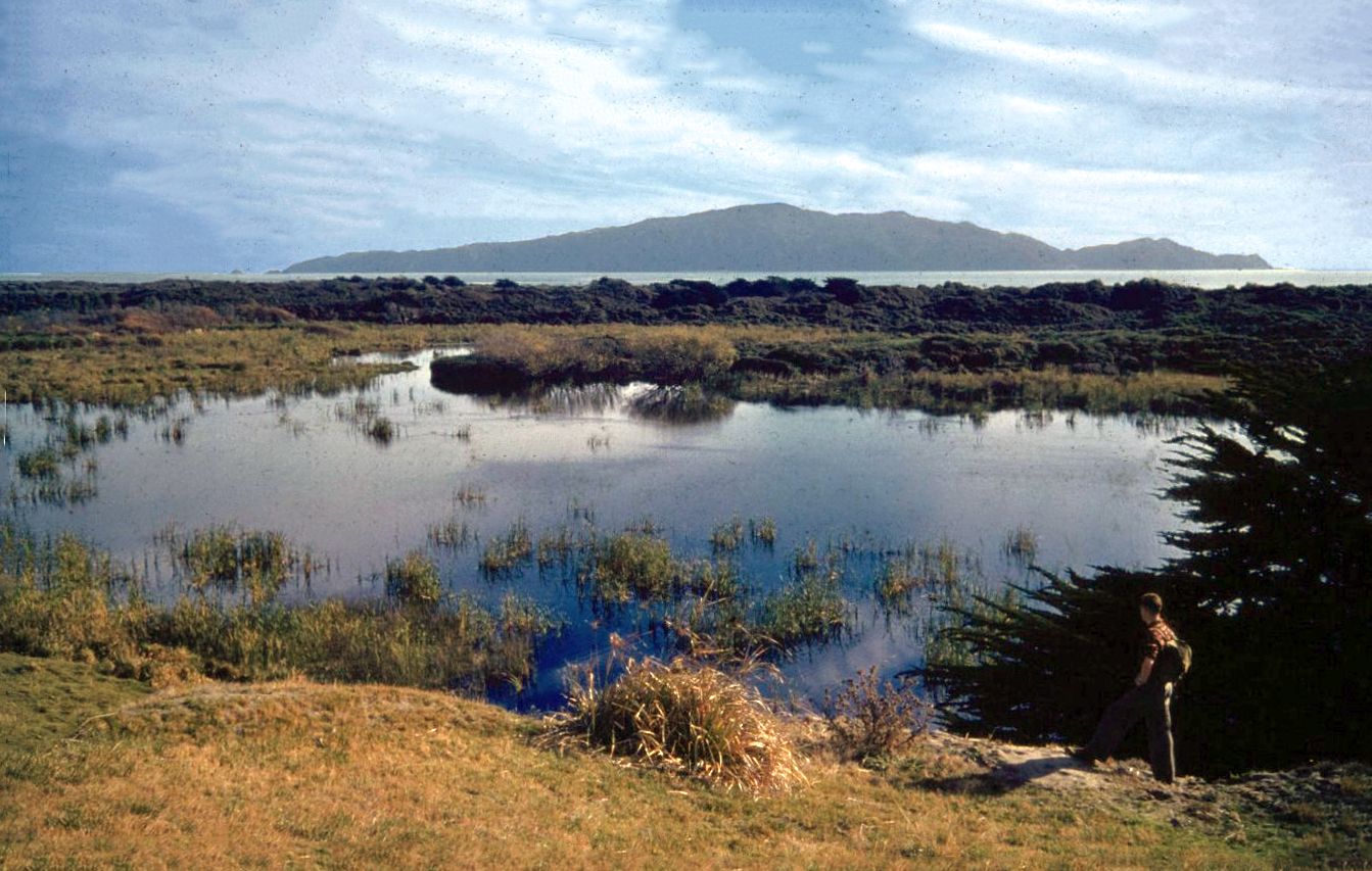 Waikanae Estuary, 1960 | Waikanae Watch