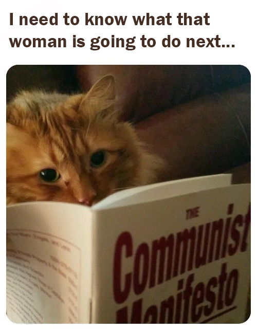 cat-communist | Waikanae Watch
