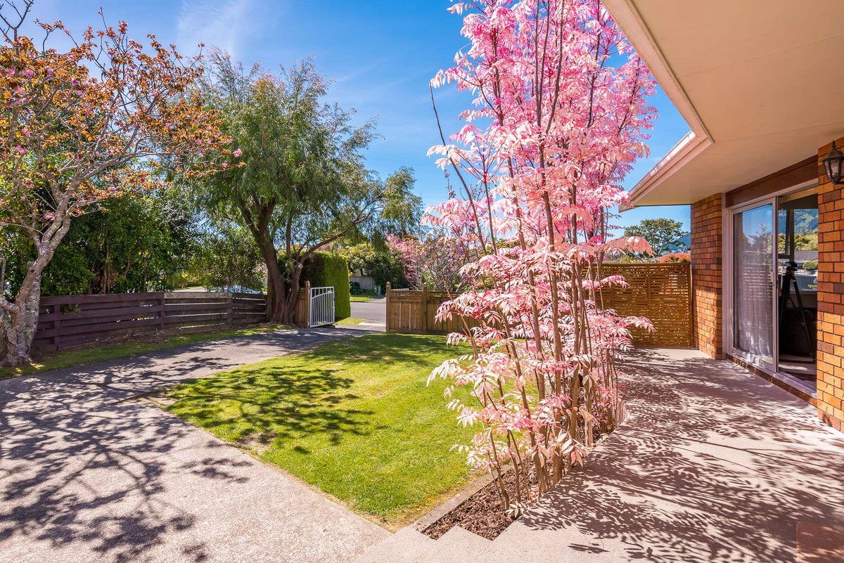 waikanae-sylvan-ave | Waikanae Watch