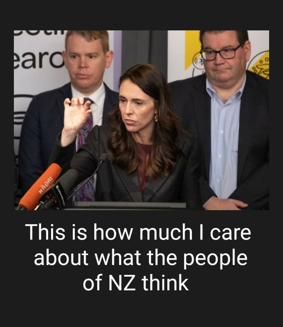 dl-meme | Waikanae Watch