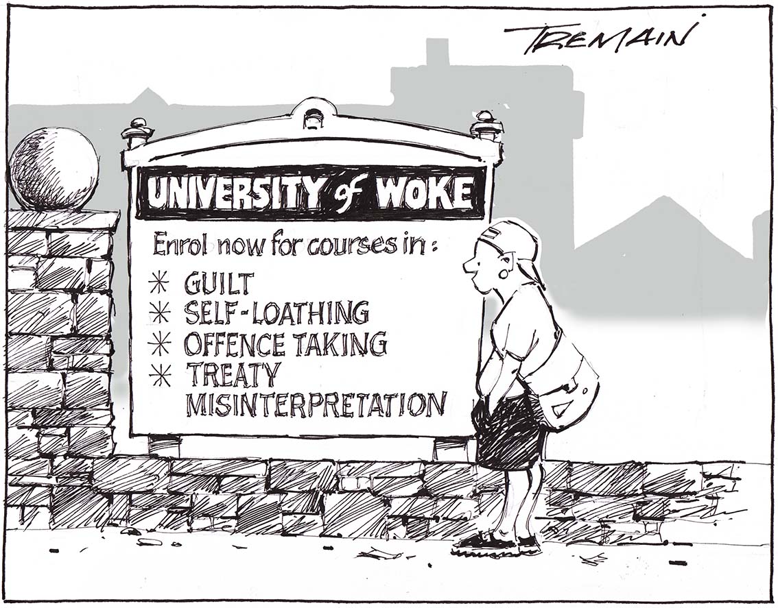 cartoon: tertiary education in Jacindaland | Waikanae Watch