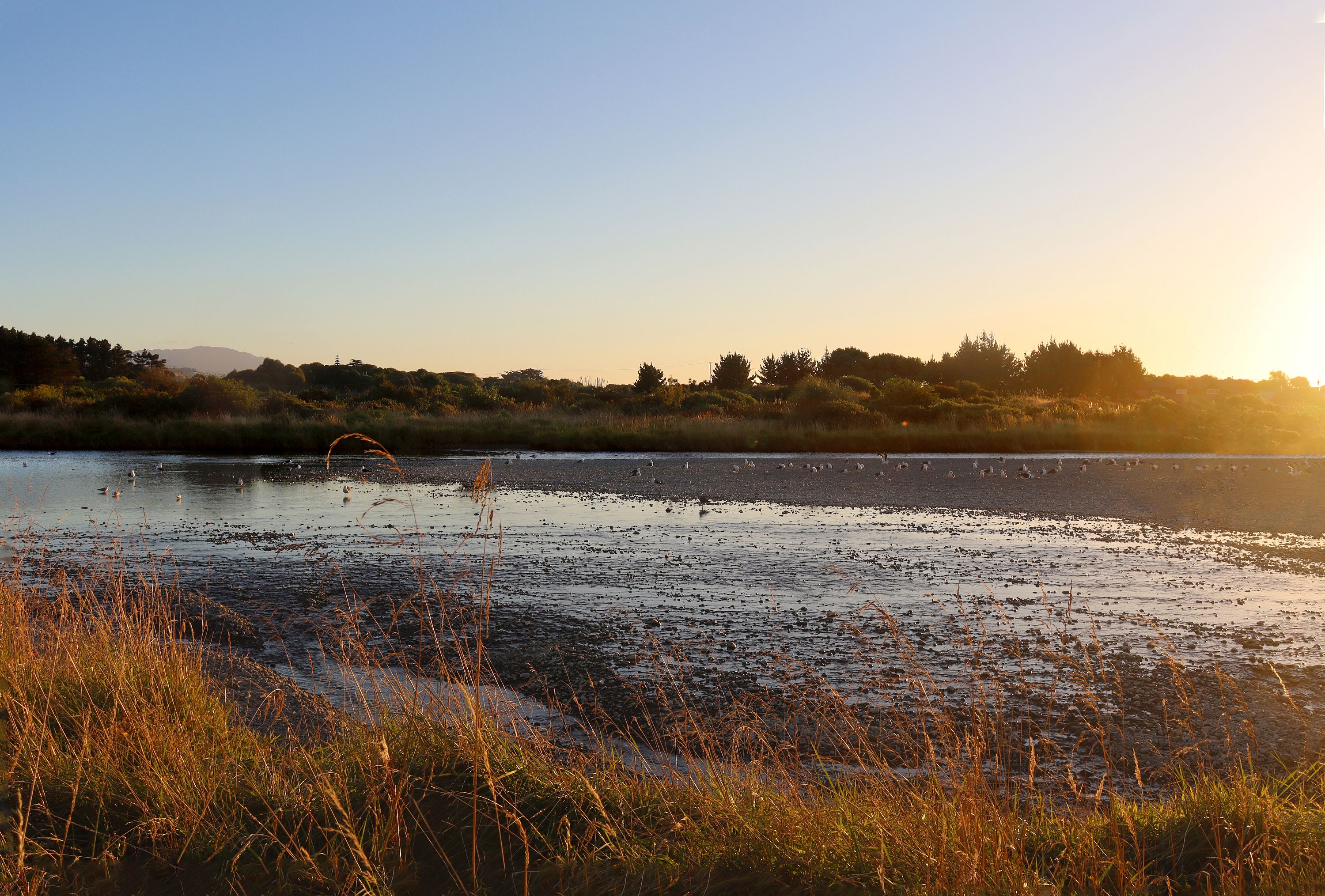 Waikanae River looking south near Otaihanga | Waikanae Watch
