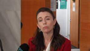 dl-stuff-em | Waikanae Watch