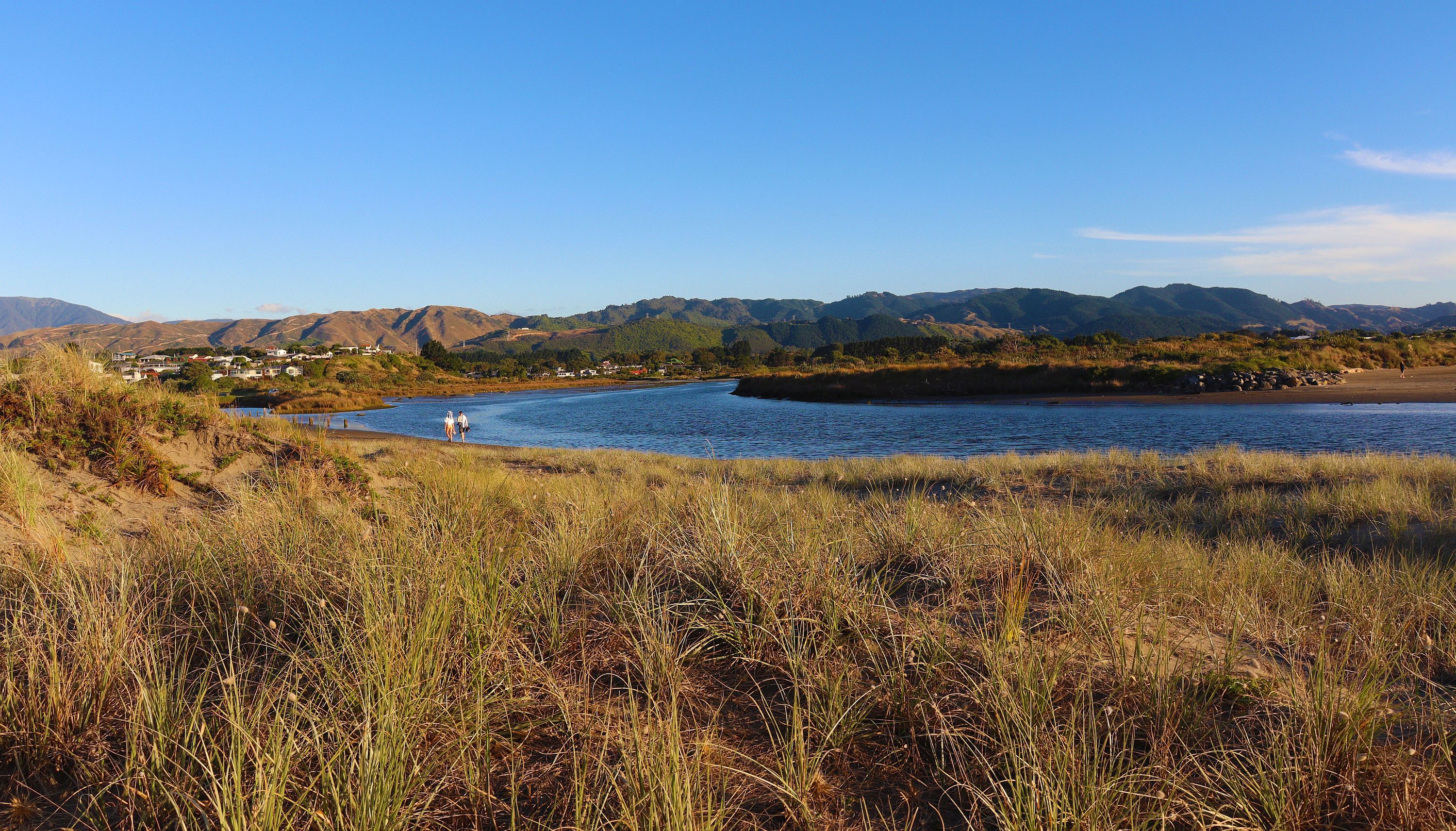 Waikanae Estuary and River view | Waikanae Watch