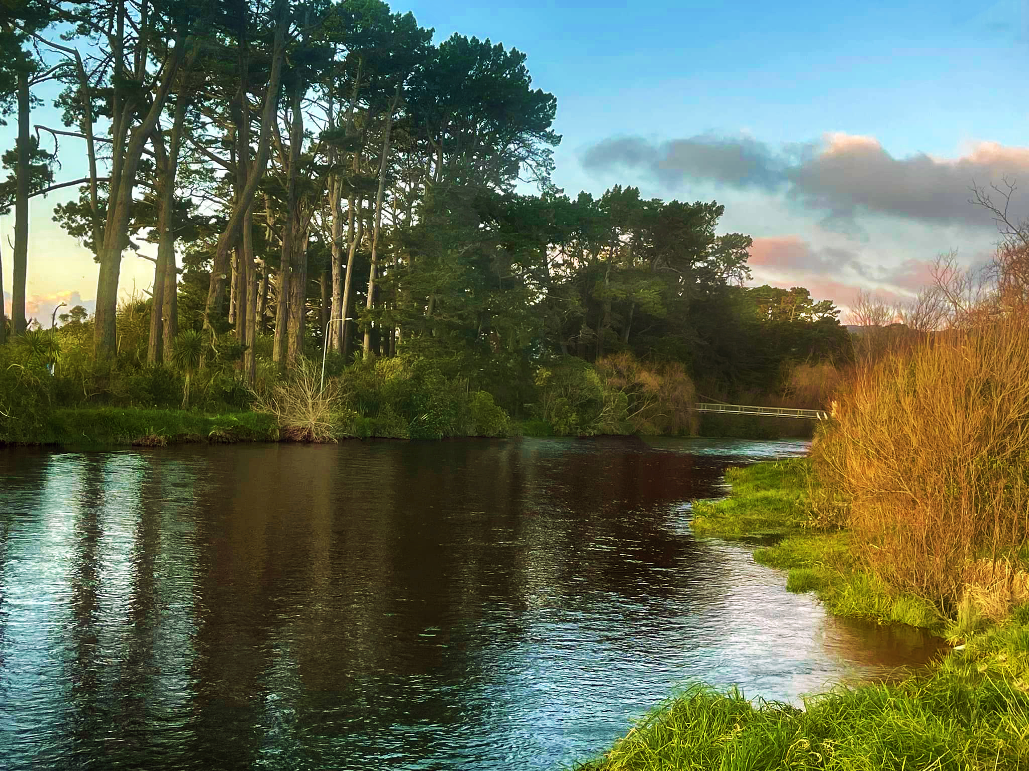 Waikanae River south bank scene | Waikanae Watch