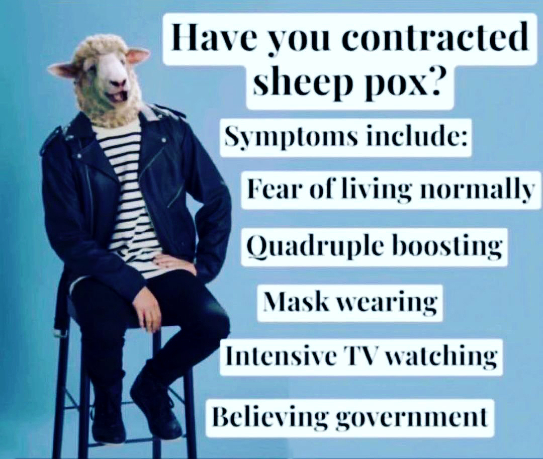 a virus which particularly afflicts Jacindanistas | Waikanae Watch