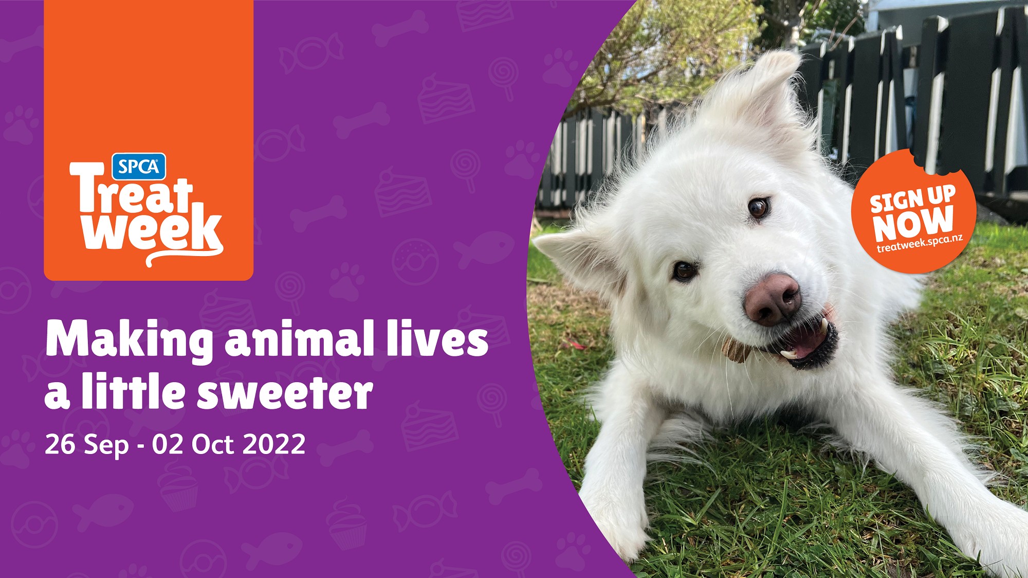 this week is the SPCA Treat Week | Waikanae Watch