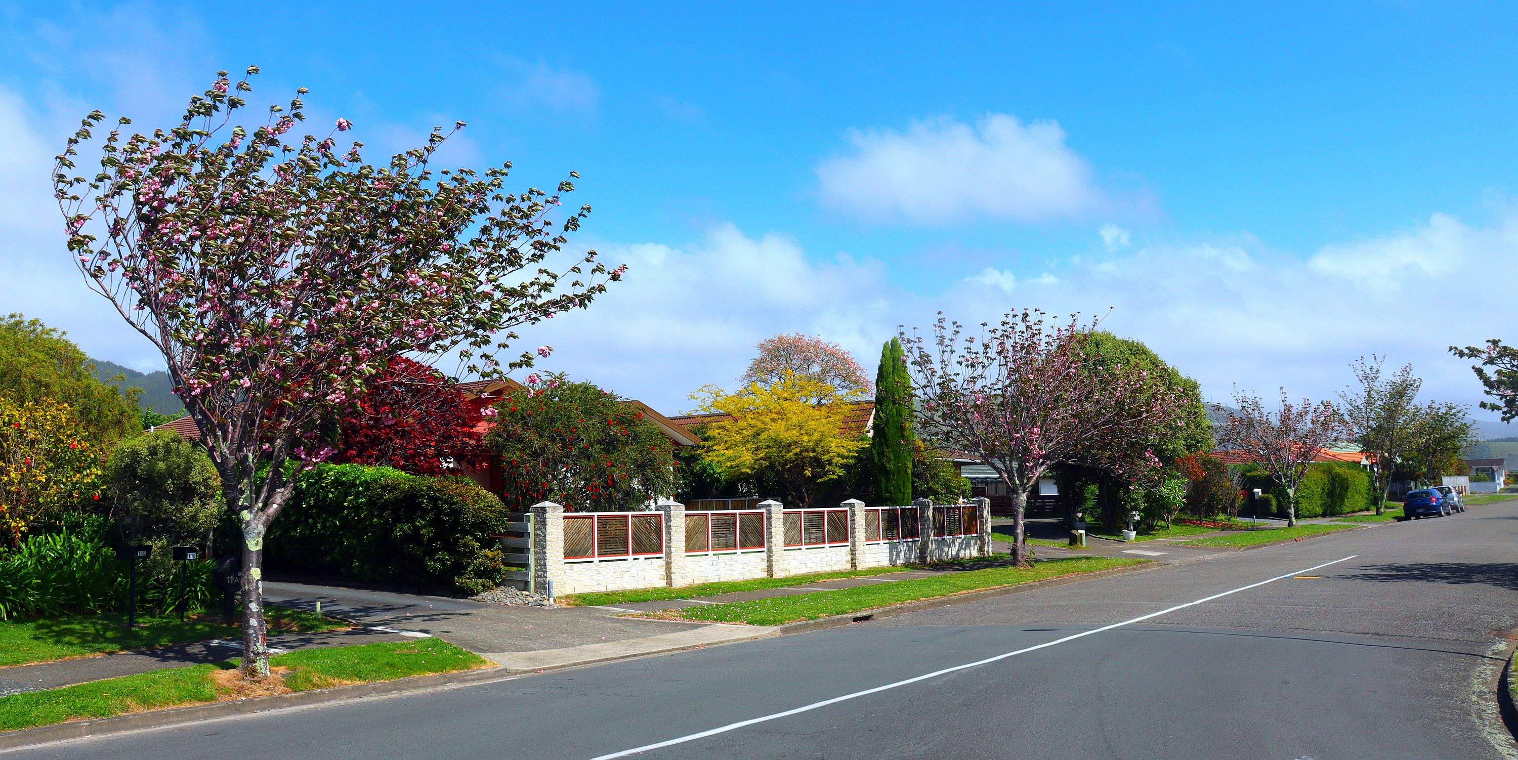 David Street curb appeal | Waikanae Watch