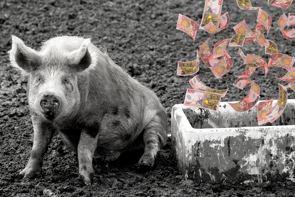 Big Tech is cashing in on Mahuta’s ‘Three [5] Waters’ as the trough ...