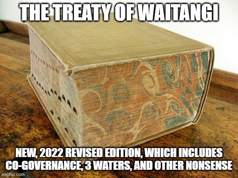 Michael Bassett on ‘co-governance’ | Waikanae Watch