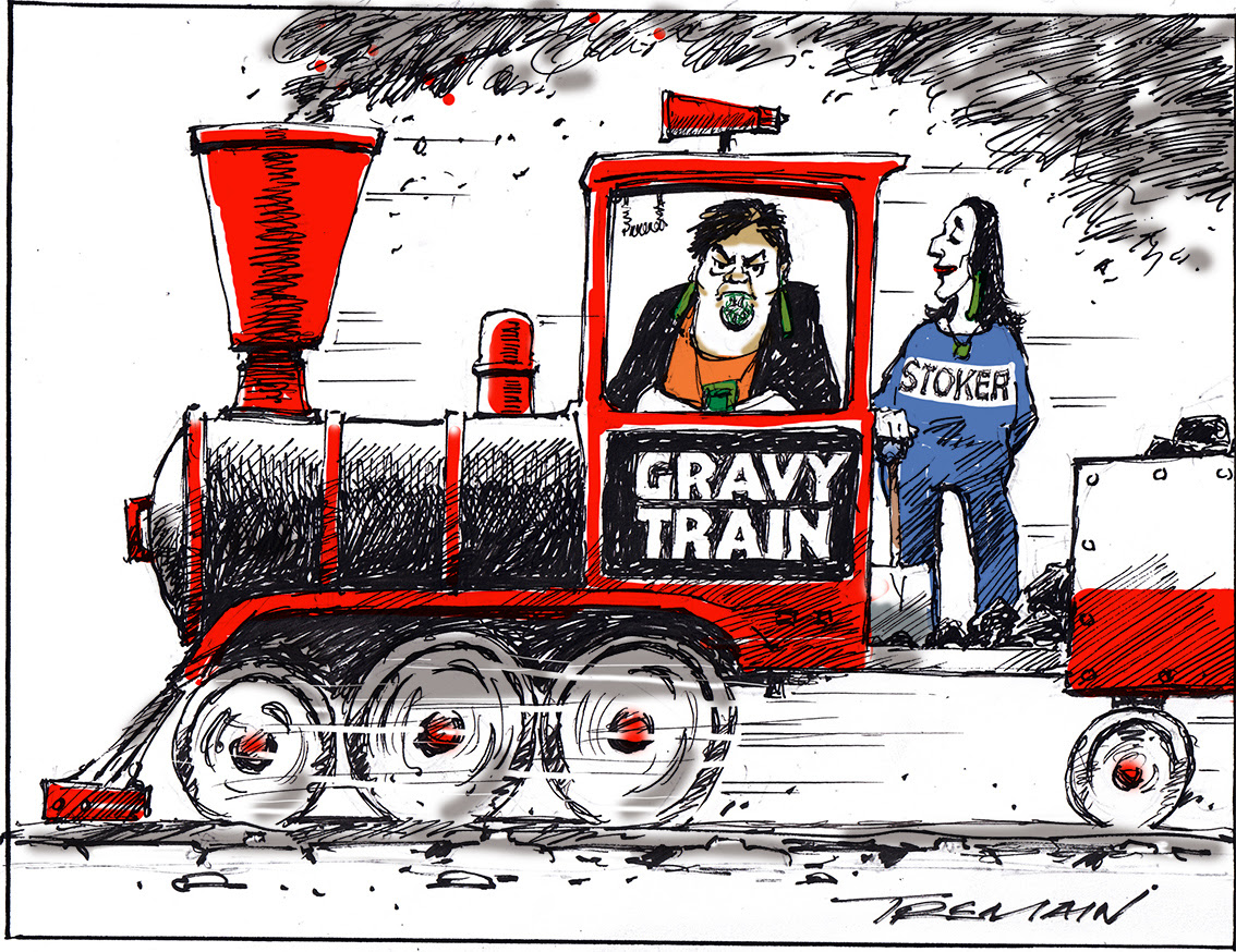 Garrick Tremain: Mahuta’s ‘He Puapua Express’ | Waikanae Watch