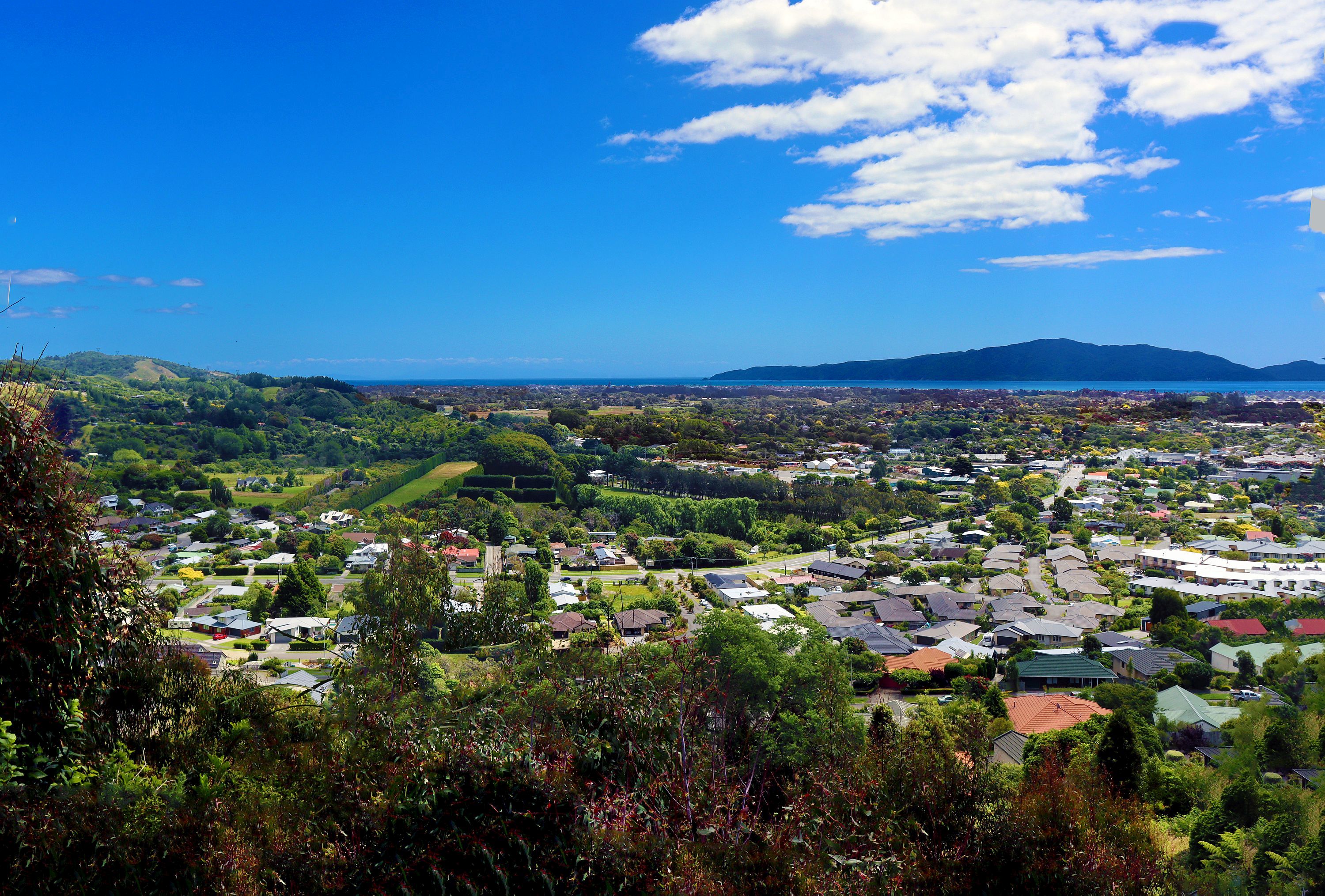 Waikanae southeast seen from the Kohekohe track | Waikanae Watch