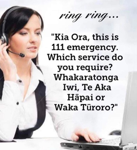 amusement: Manglish example | Waikanae Watch