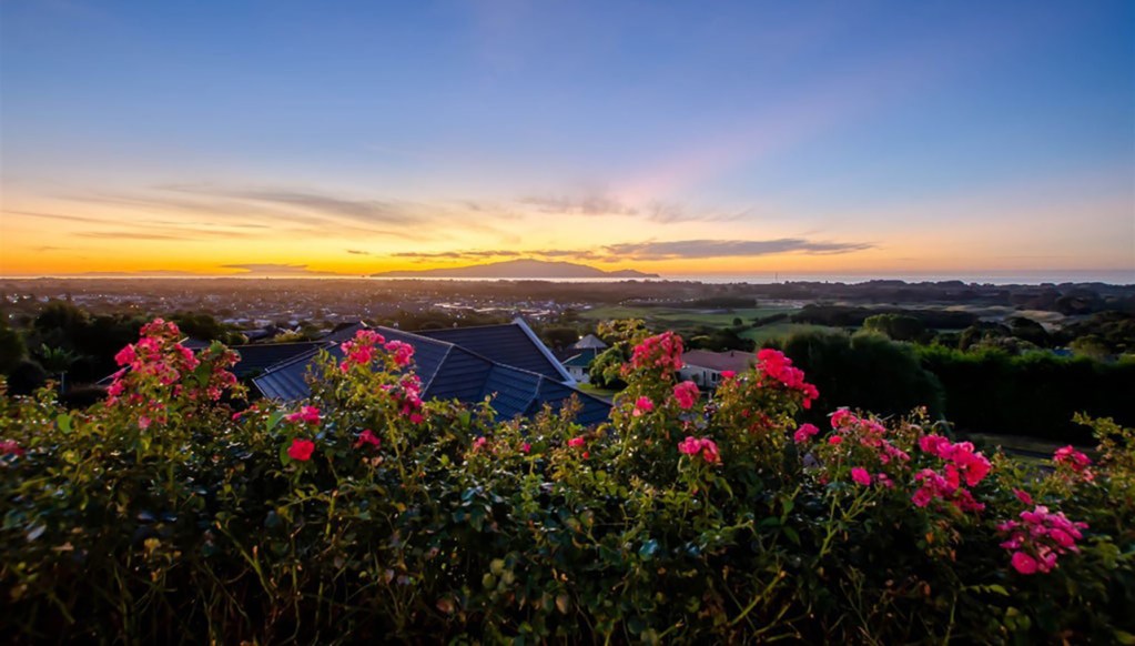 sunset and roses, Winara Avenue | Waikanae Watch
