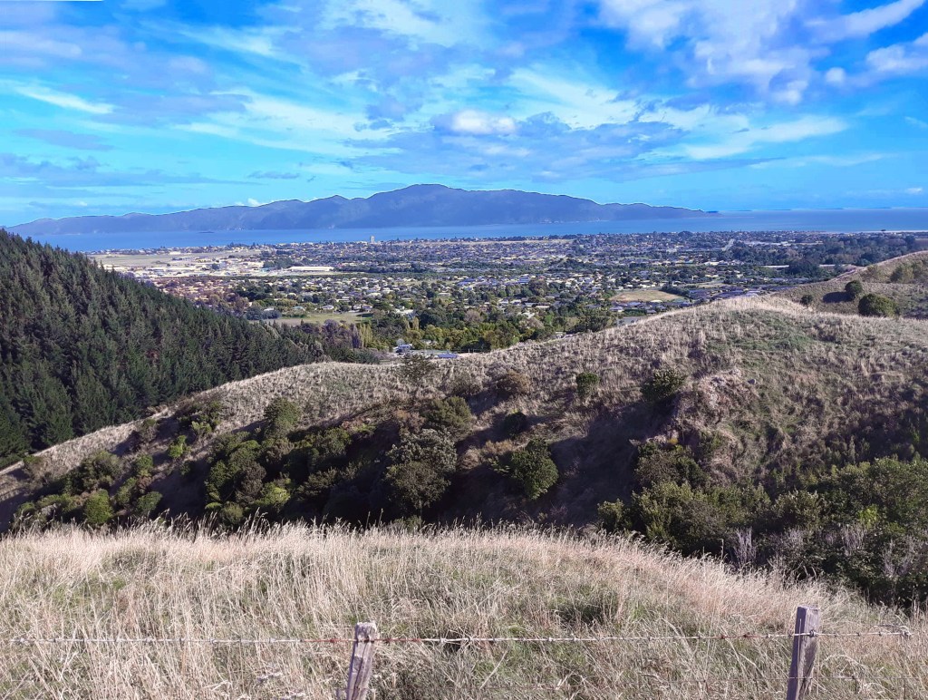 view from the top of the Barry Hadfield Nikau Reserve | Waikanae Watch