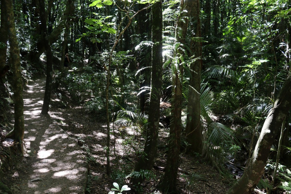 scene in the Hemi Matenga Reserve | Waikanae Watch
