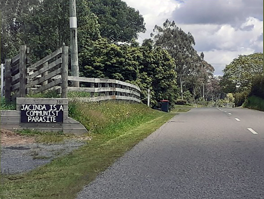 from Comrade to Dame in a New York minute | Waikanae Watch