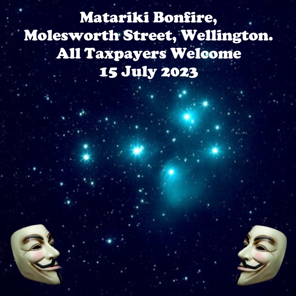 satire: a Matariki bonfire for Taxpayers in lower Molesworth Street ...