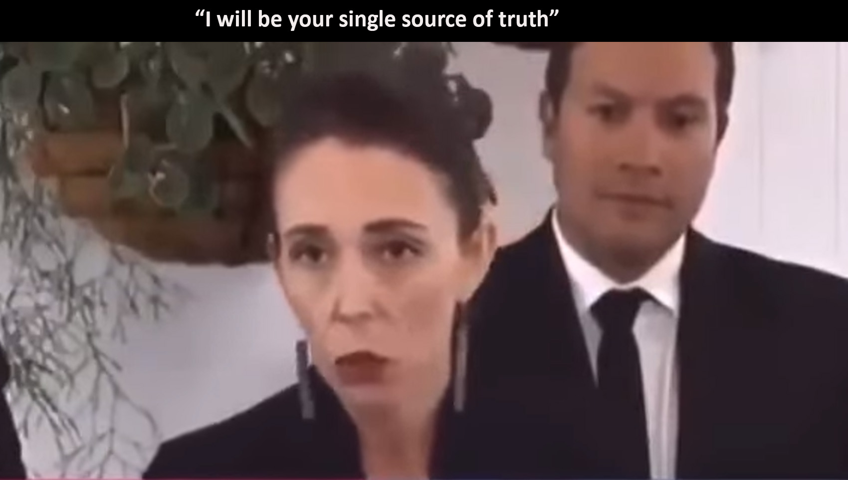 when the arbiters of truth become the merchants of misinformation | Waikanae Watch