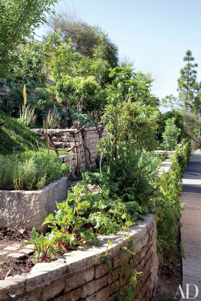 an example of a landscaped fruit and vegetable garden | Waikanae Watch