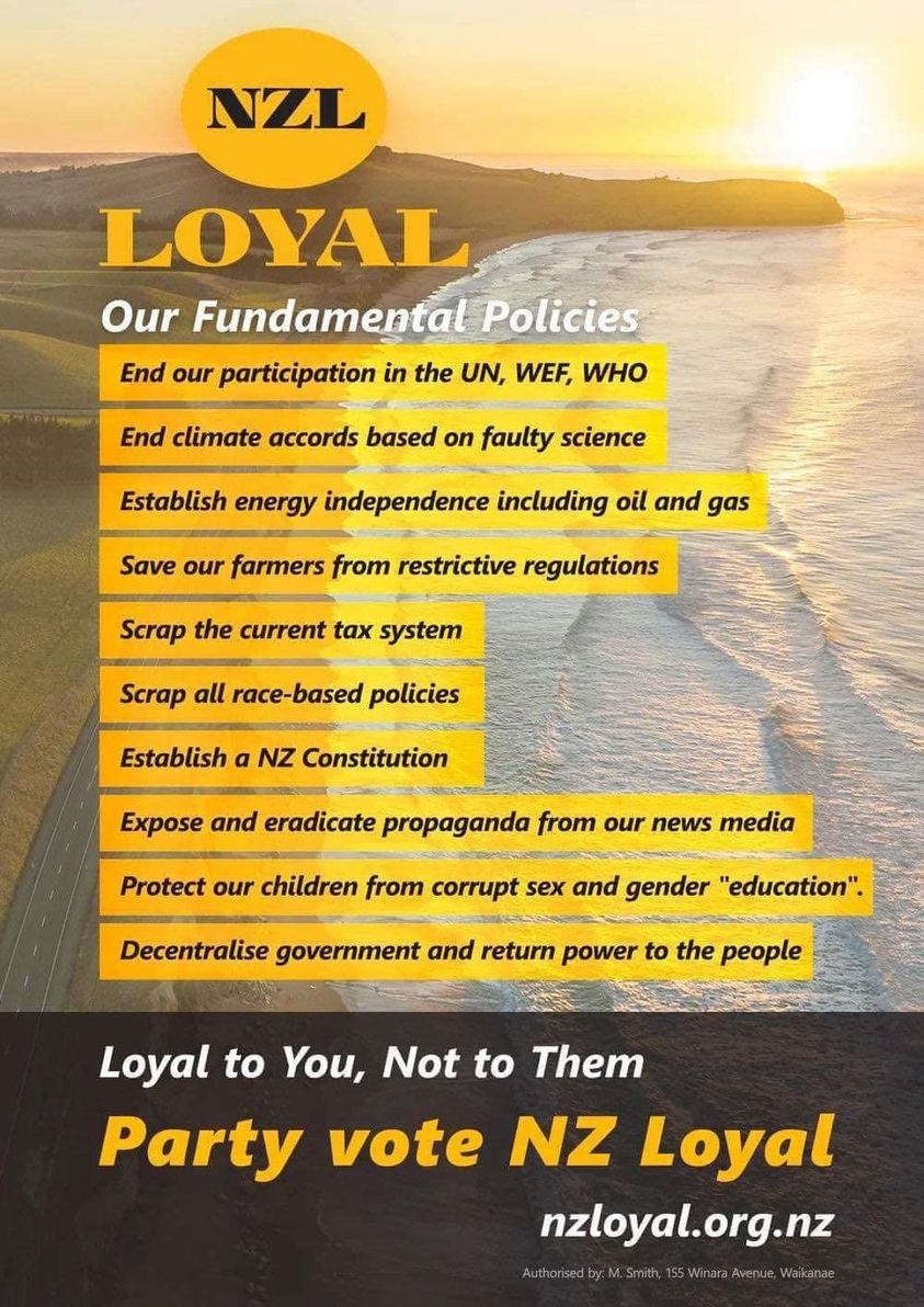 a look at the smaller parties in the election | Waikanae Watch