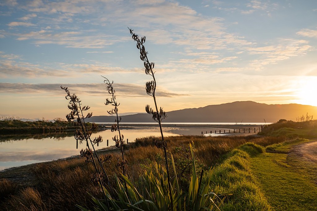 Waikanae Estuary afternoon | Waikanae Watch