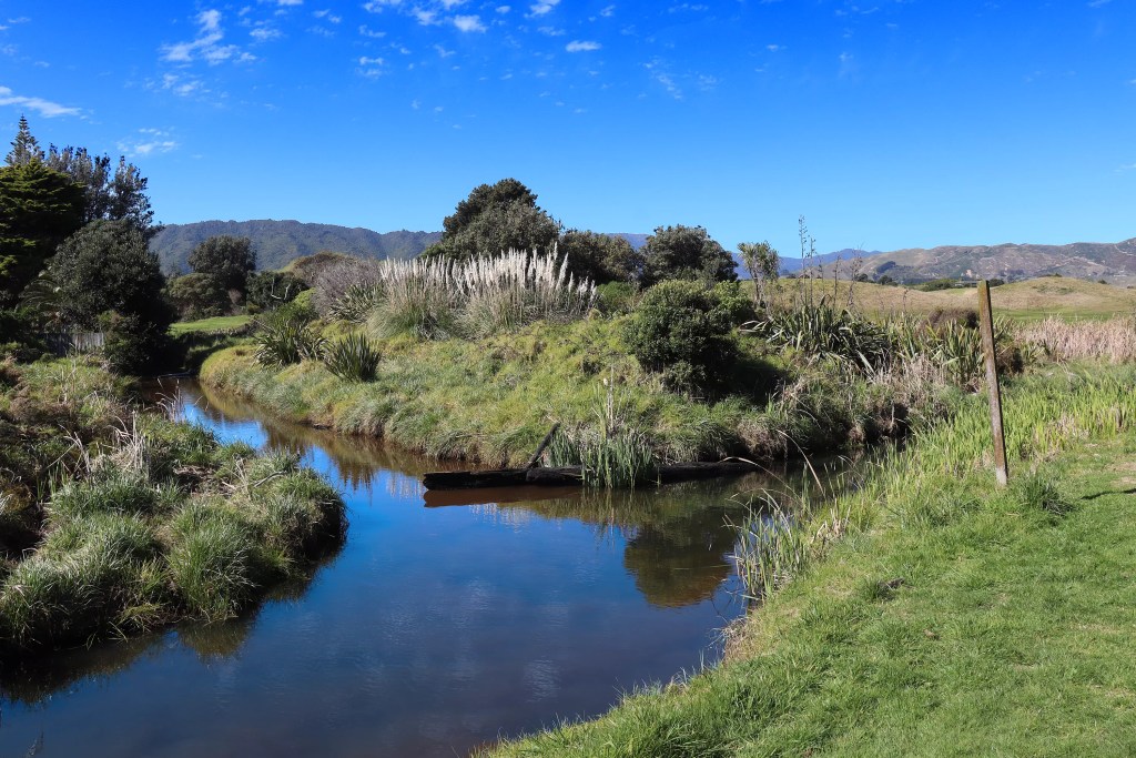 Waimeha Stream and backwater near the golf course | Waikanae Watch