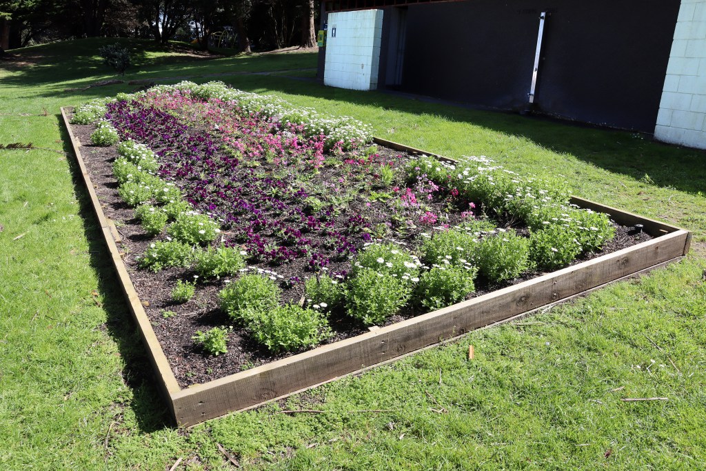 this summer’s beach loo flower arrangement | Waikanae Watch