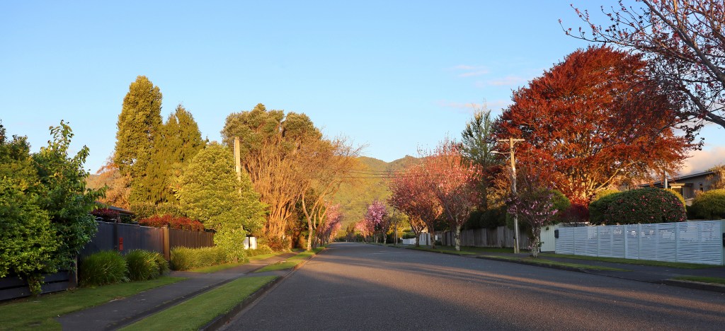 Spring late afternoon on Kohekohe Street | Waikanae Watch