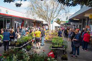 Spring Market Day in Mahara Place happens tomorrow | Waikanae Watch